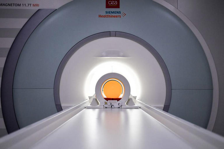 Man wearing metal chain sucked into MRI machine in New York: police