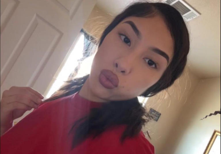 US mom sentenced to 15 years after son dies in hot car while she ...