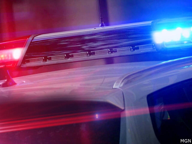 Ludlow Police chief announces retirement