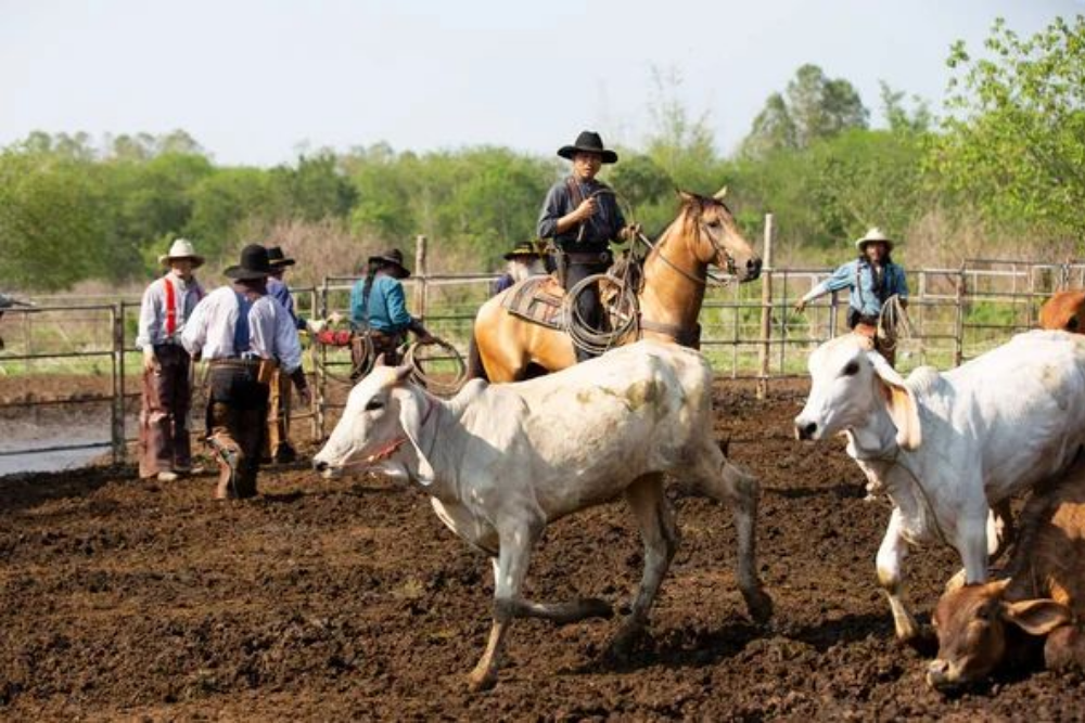 18 Places to Experience Real Cowboy Culture Today