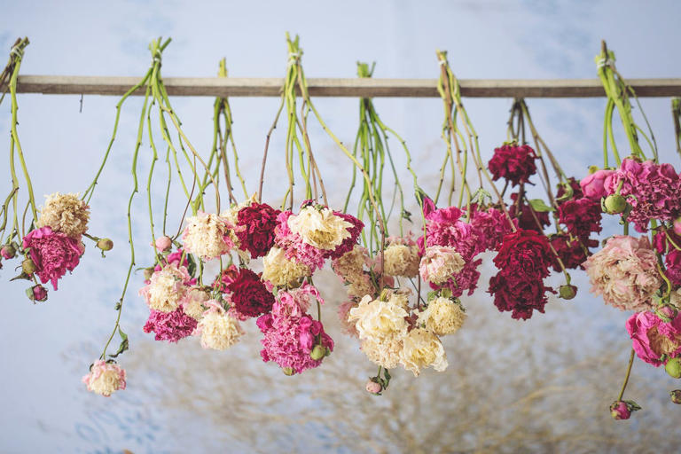 Make beautiful dried flowers in four simple steps