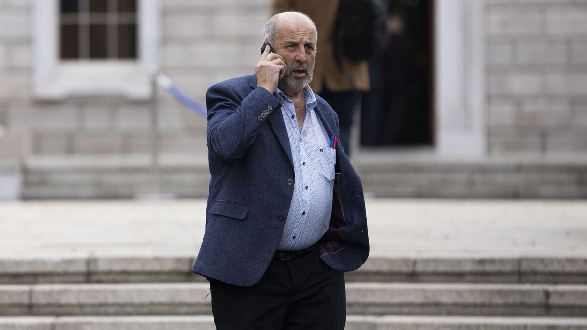 Healy-Rae firm linked to election fraud case, Kerry senator claims in ...