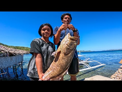 This only happens once in a while! 🐟 Discover the sea