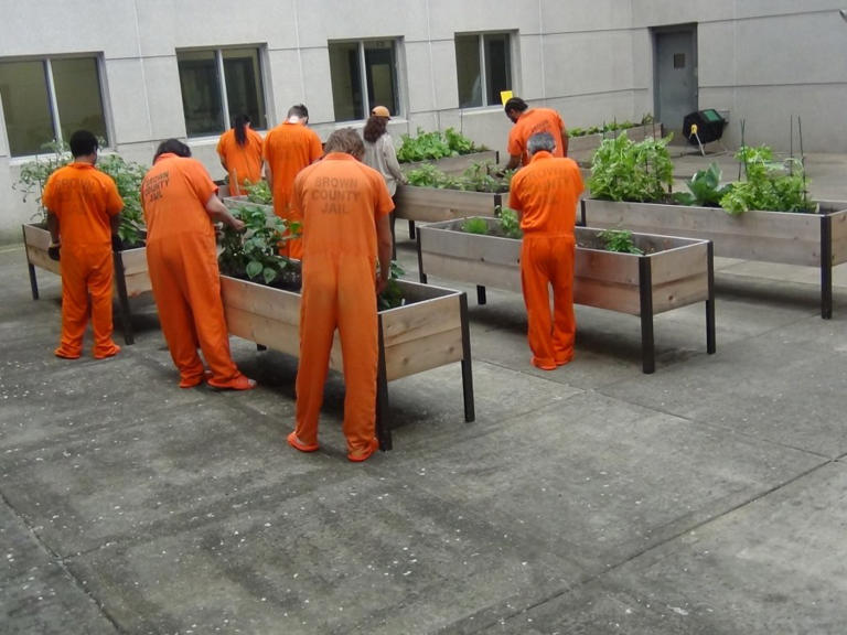 Brown County Jail’s garden program shows significant growth in second ...