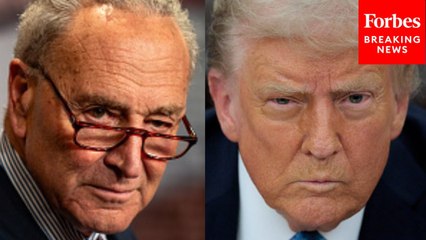 'Foot Soldiers In Black Robes': Chuck Schumer Torches Trump's 'Radical ...