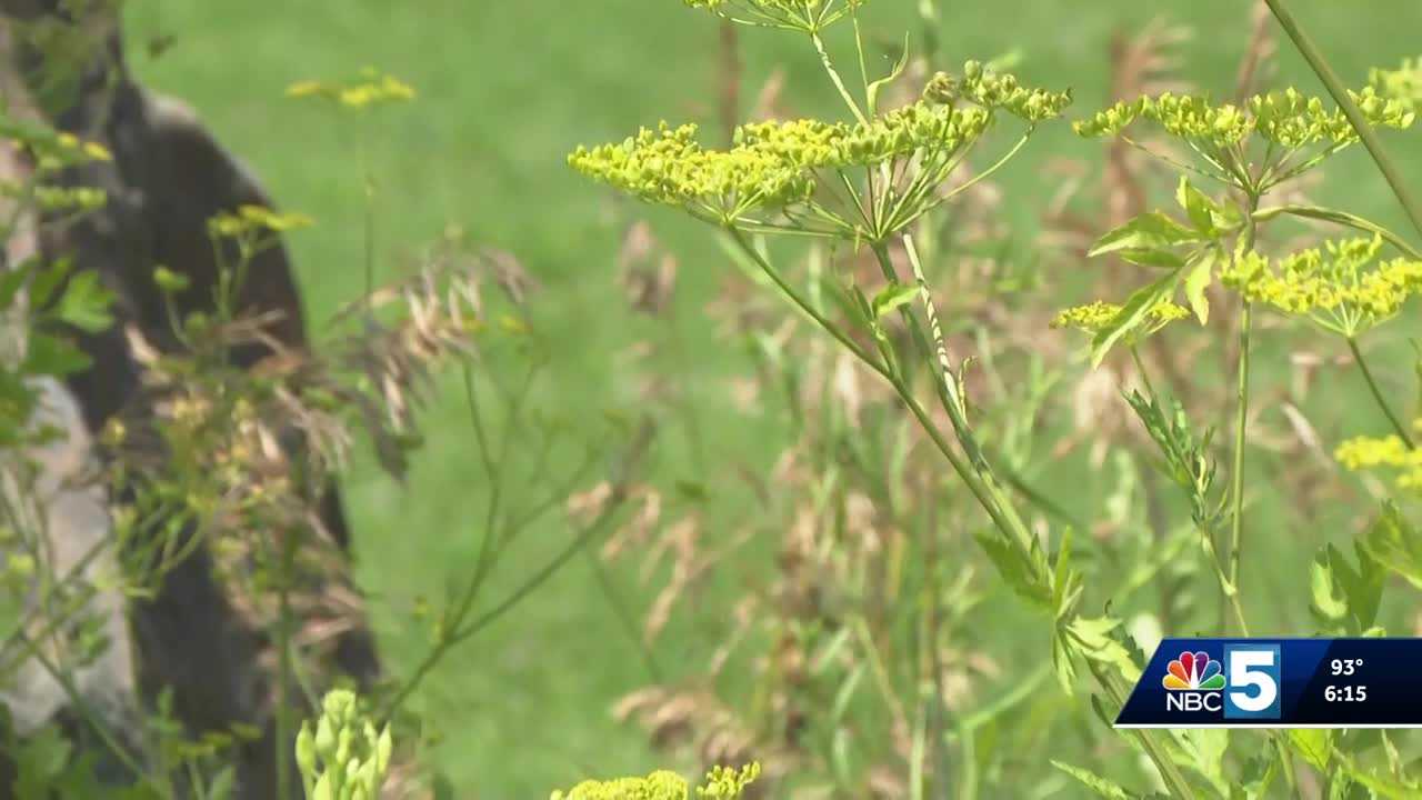 Southern Vermont faces higher risk of fire danger, officials say