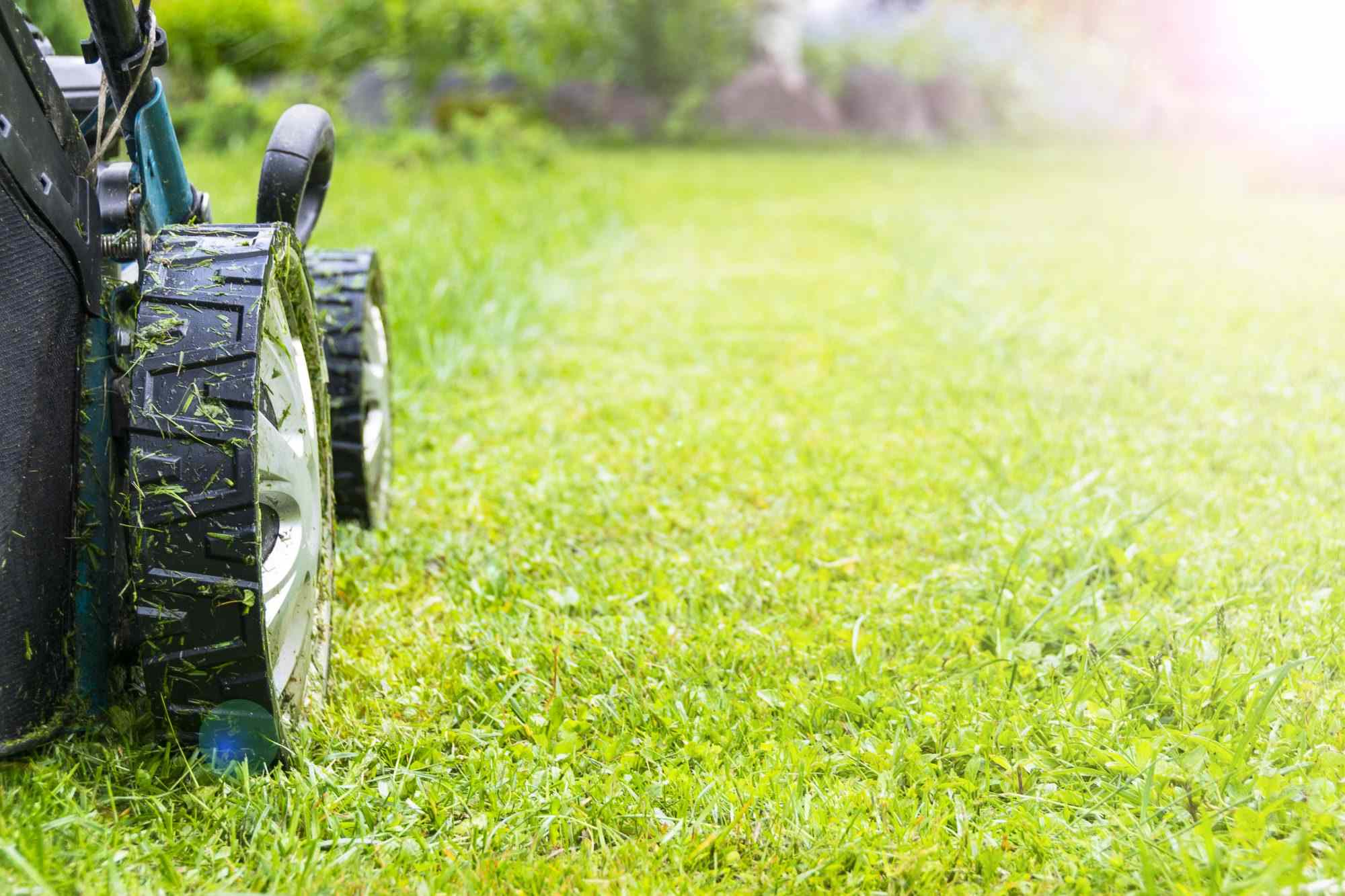 Can You Mow Wet Grass?
