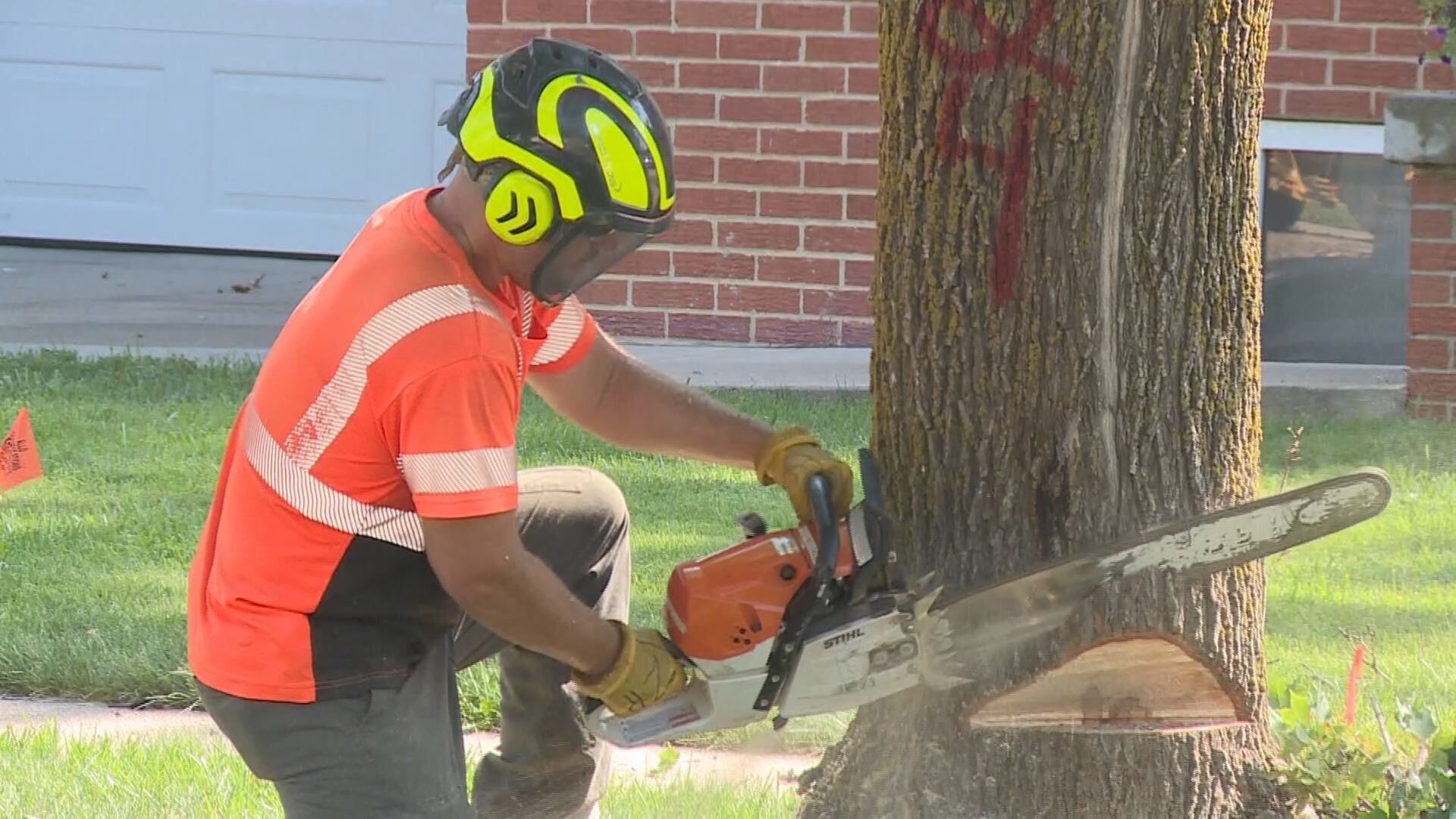 City of Lincoln provides guidance on cleaning up tree debris from ...