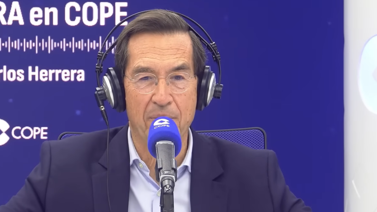 Mario Alonso Puig, neurocirujano: “Así como una planta crece cuando la ...