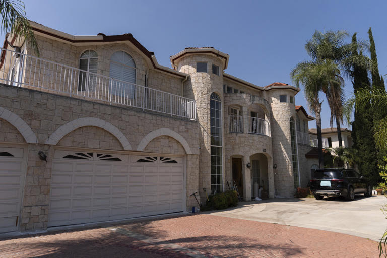 Questions about surrogacy are raised in case of California couple with ...