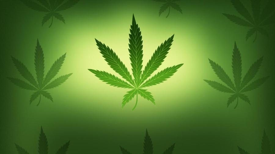 Oklahoma bill targets abandoned medical marijuana grows