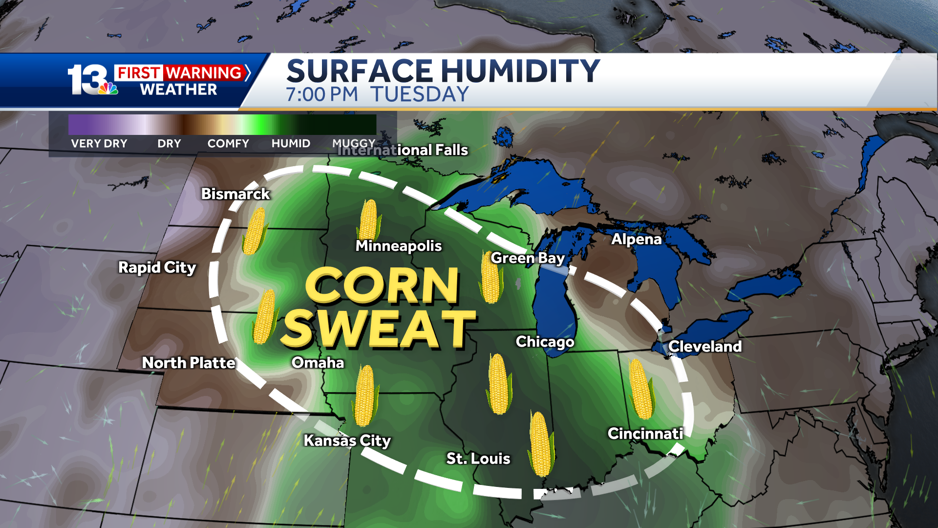 Corn sweat: The hidden cause of extreme summer humidity