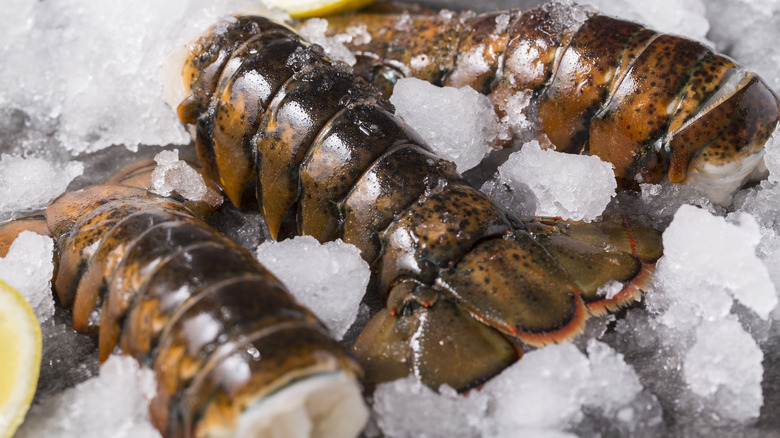 How To Buy And Cook A Live Lobster: Steaming, Boiling And Roasting