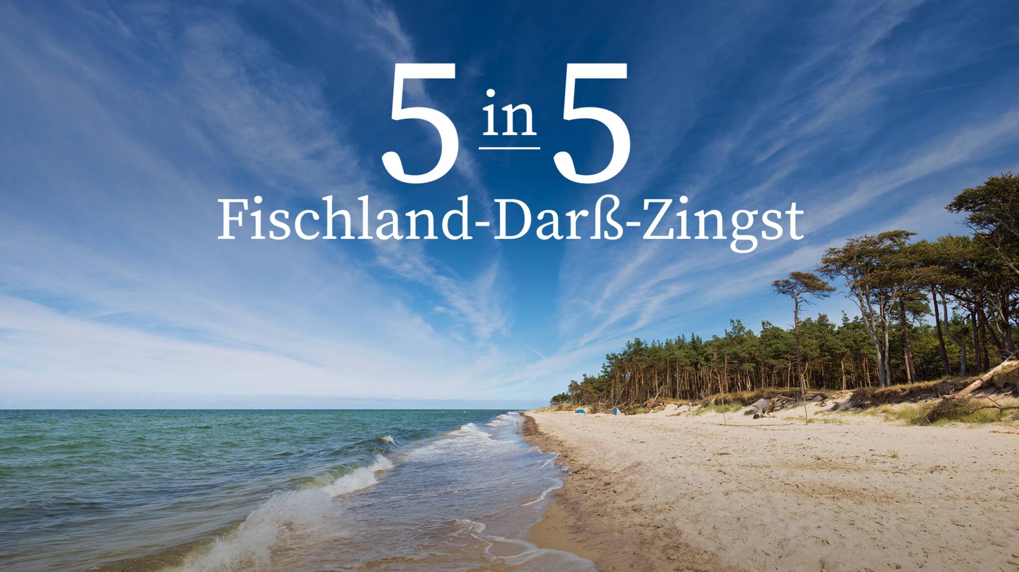 Diebischer Fuchs auf dem Darß + Prerow will Schule erhalten + Barths ...