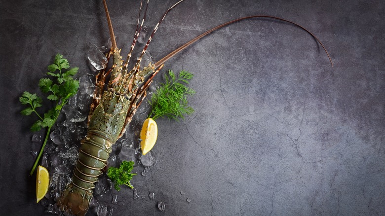 How To Buy And Cook A Live Lobster: Steaming, Boiling And Roasting