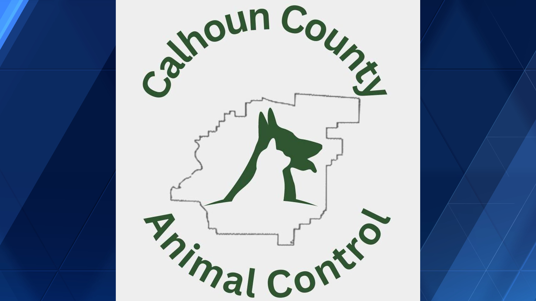 Calhoun County Animal Control euthanizes all dogs in shelter due to ...