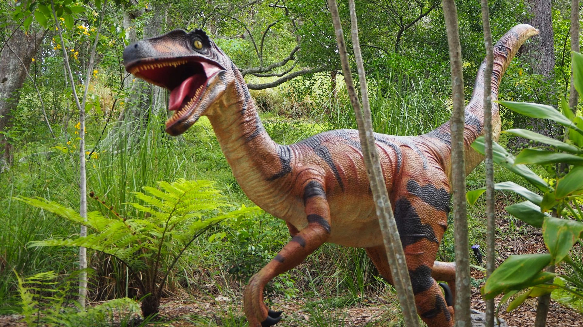 The 20 Coolest Dinosaurs That Ever Roamed The Earth