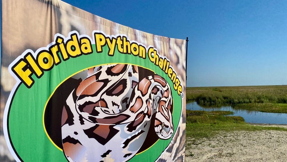The hunt begins: Python Challenge aims at drawing out invasive species