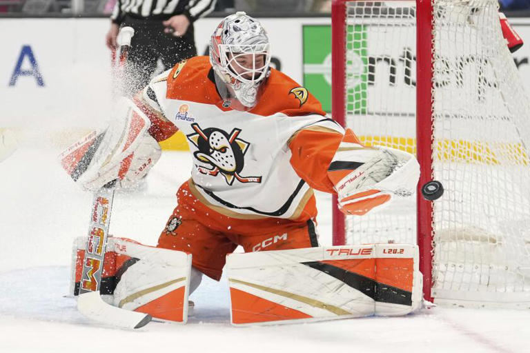 Lukas Dostal avoids arbitration, signs five-year contract with Ducks