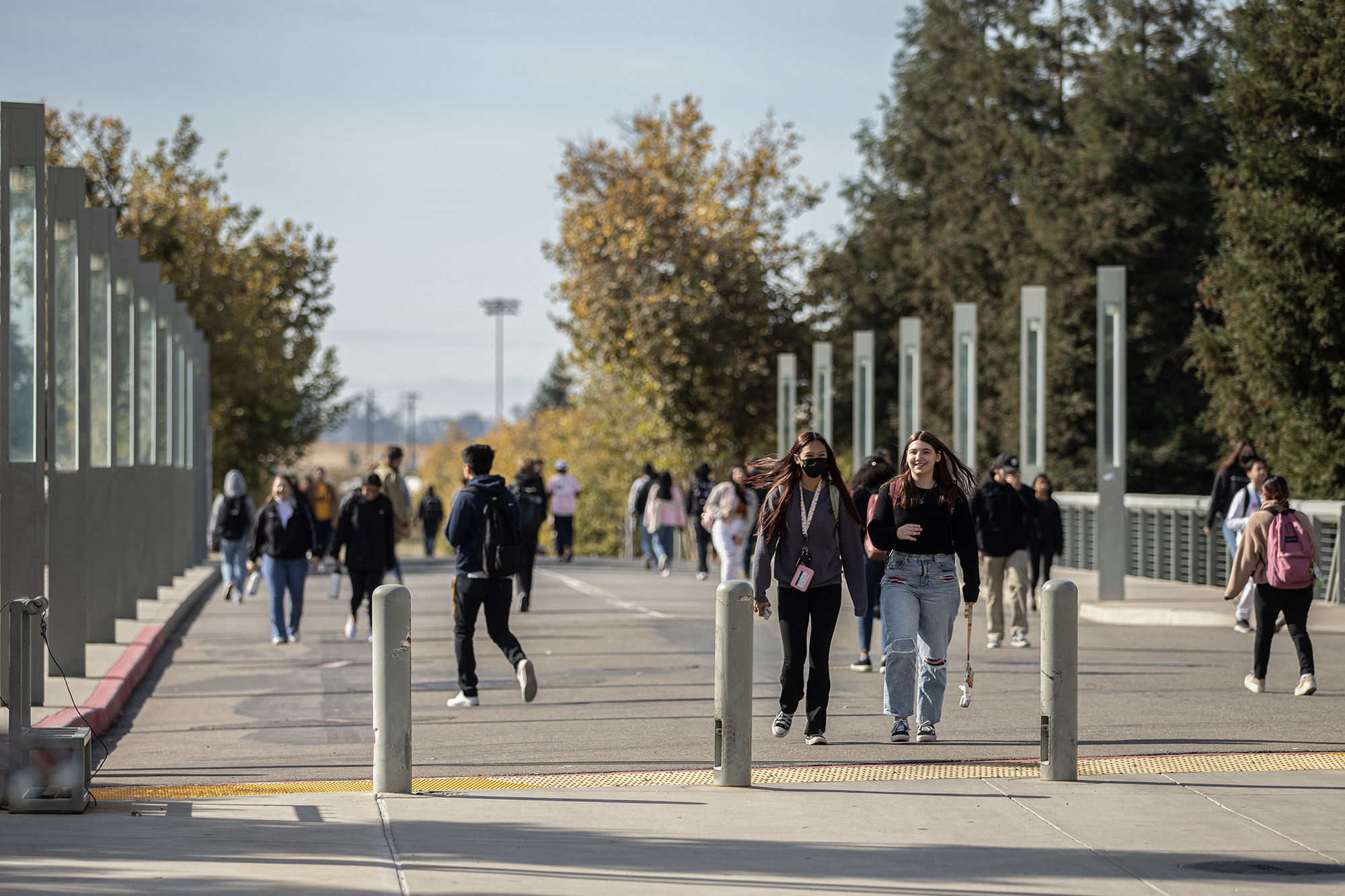 What skills do employers want in college graduates? New UC tool has answers