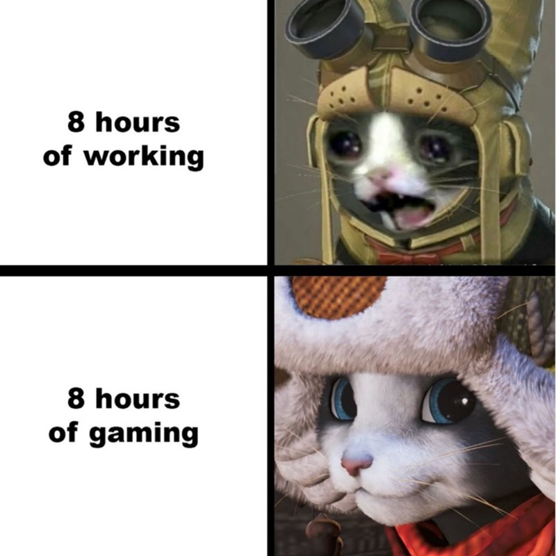 22 Gaming Cat Memes That are Little Purring Side-Quests of Serotonin