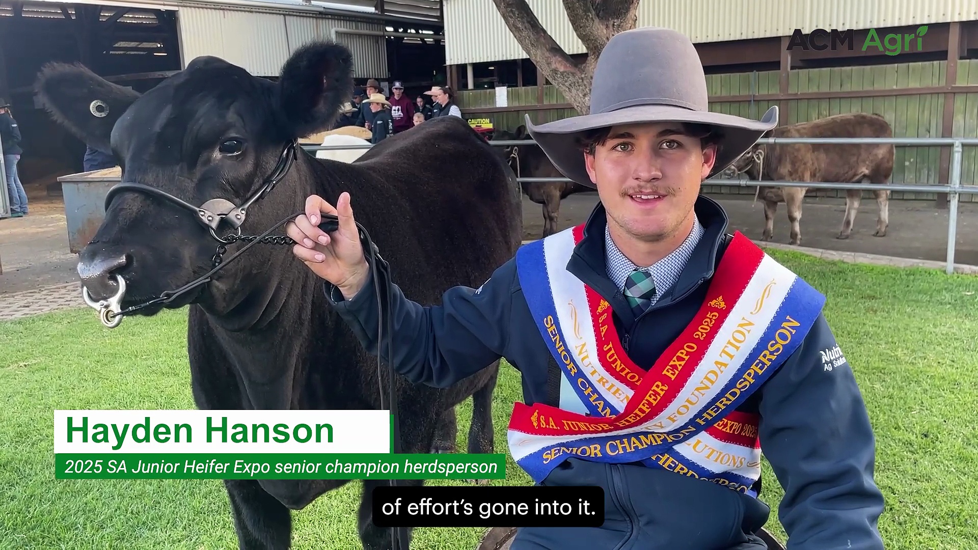 Queenslander named Heifer Expo senior champion herdsperson for second ...