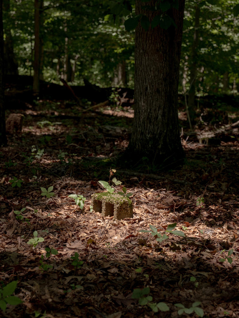 230 dead Black boys. A ‘secret cemetery.’ Officials knew, and didn’t act.