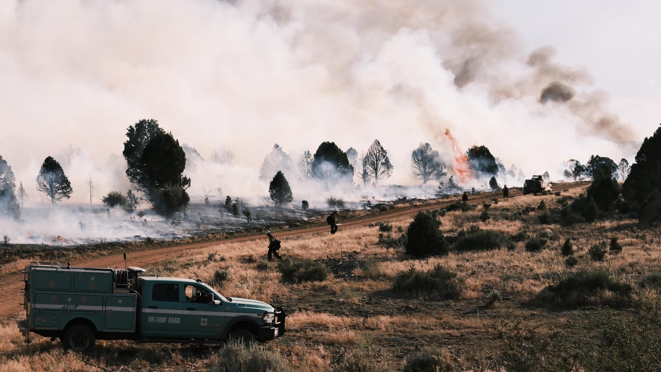 Crews gain 95% containment as White Sage Fire scorches 58K acres near ...