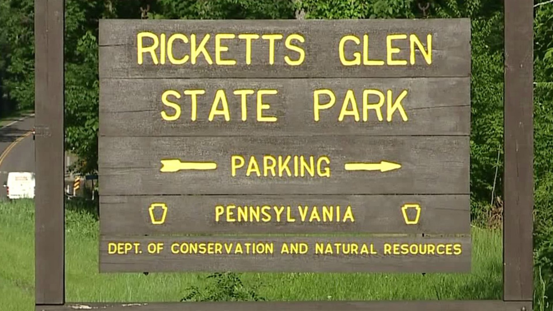 Swimming banned at Ricketts Glen State Park after 'unacceptable' levels ...