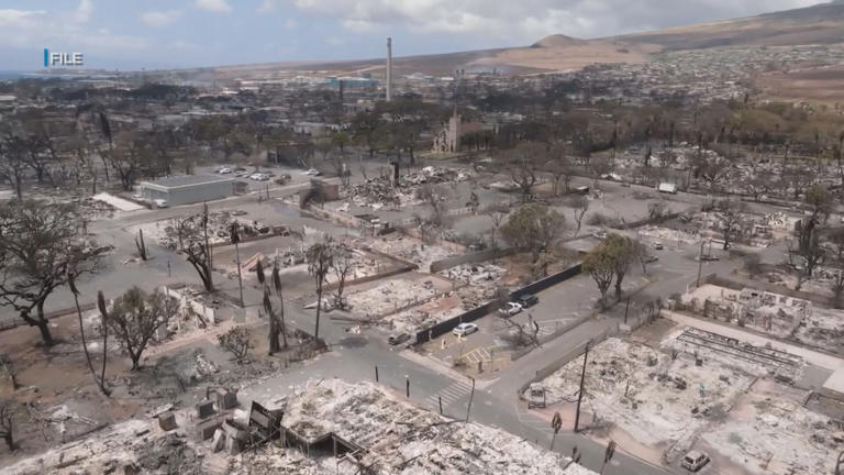 Maui wildfire settlement payments could reach victims as soon as April