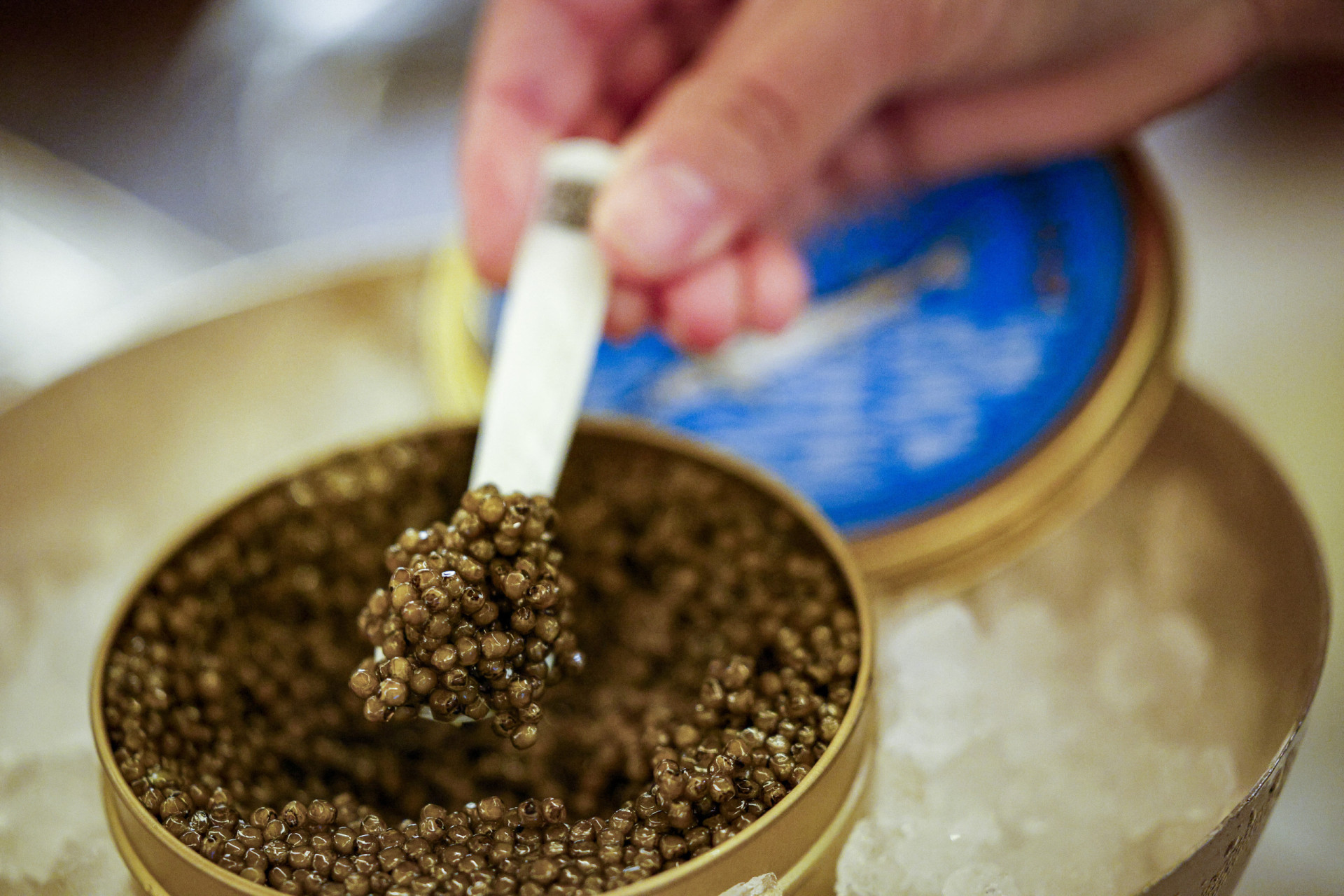 Is caviar really that good, and why is it so expensive?
