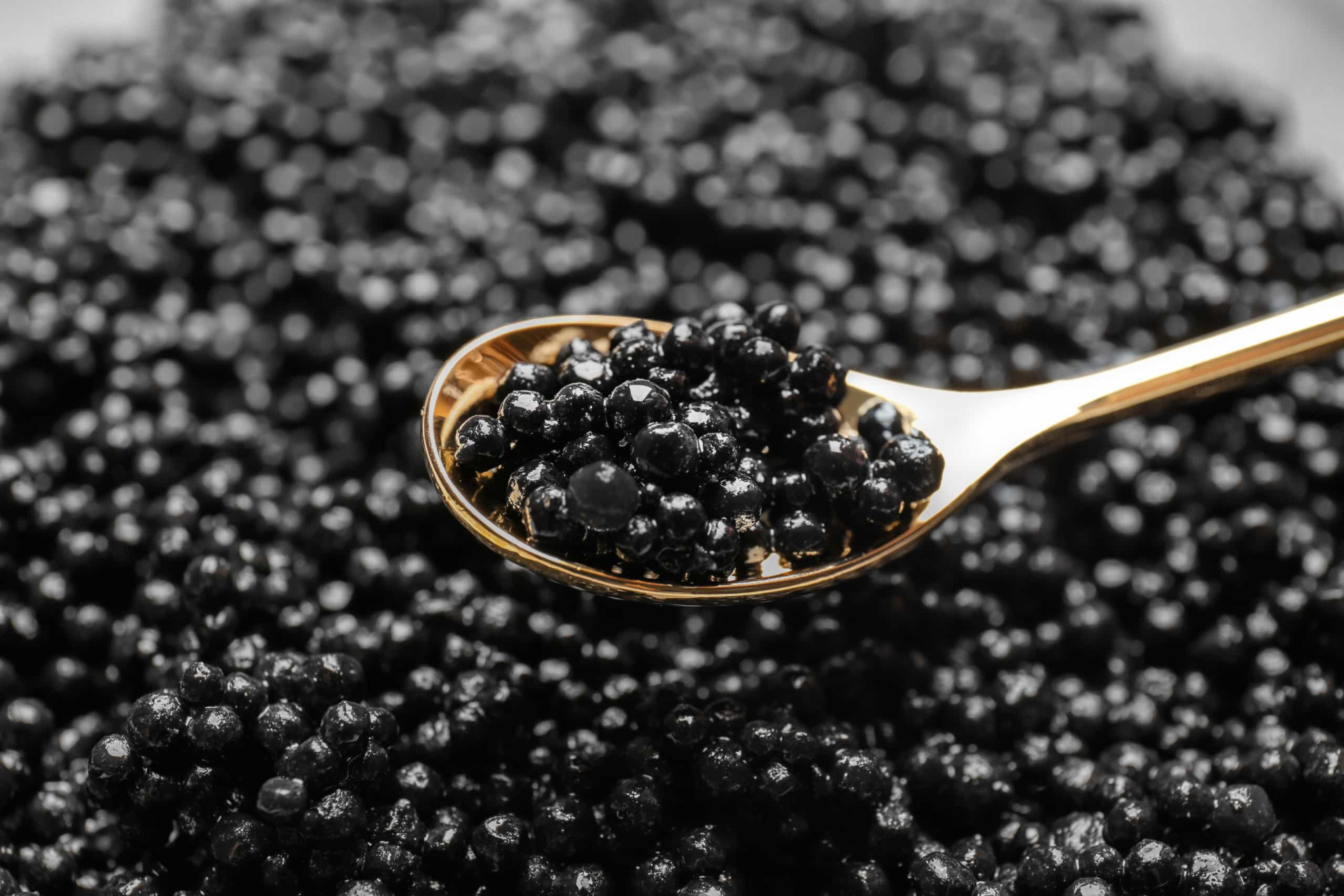 Is caviar really that good, and why is it so expensive?