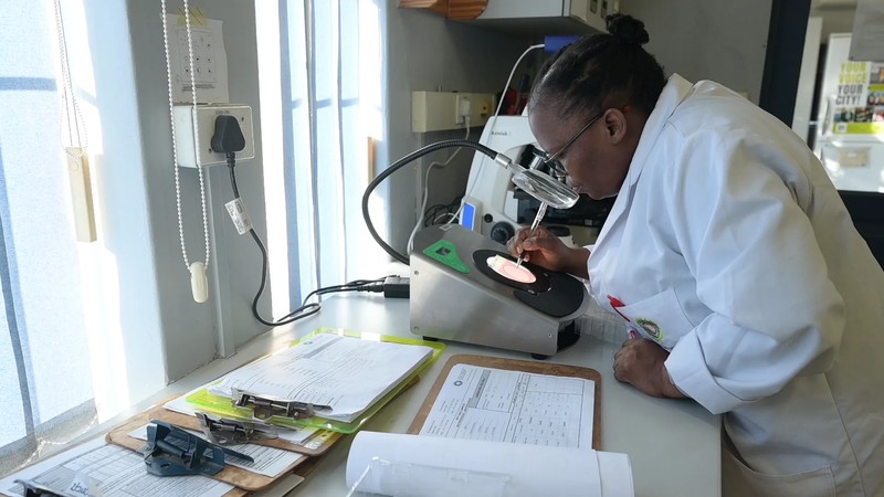 Foodborne illness outbreak in Cape Town restaurant prompts calls for ...