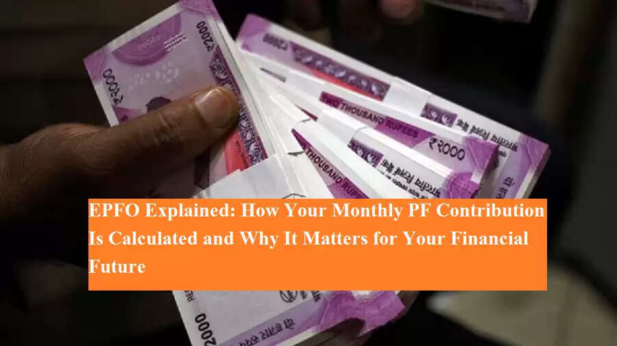 EPFO Explained: How Your Monthly PF Contribution Is Calculated and Why ...