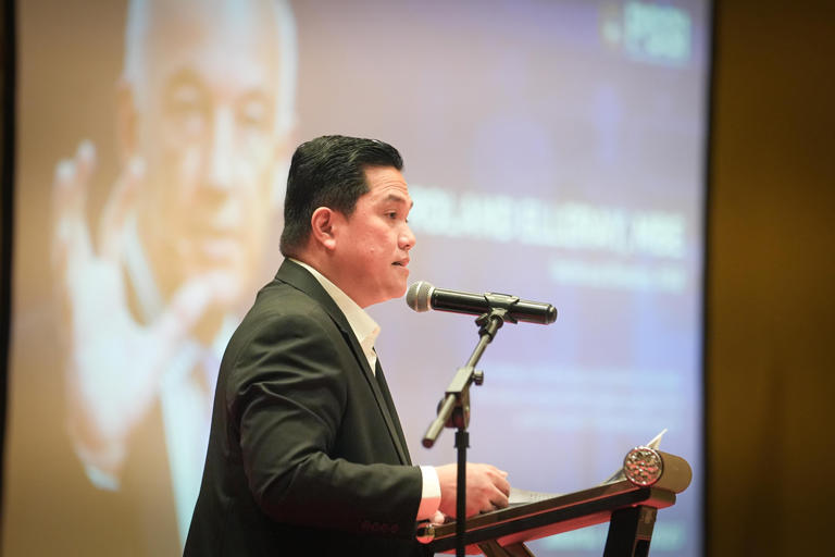 Erick Thohir: 2 Calon Pemain Naturalisasi Berpeluang Bela Timnas pada ...