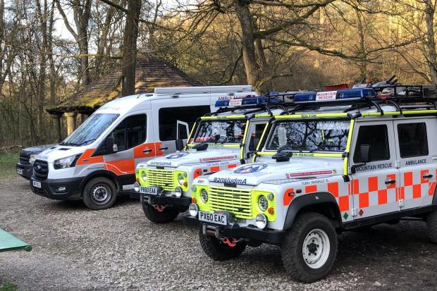 Man rescued after falling 'significant distance' from tree