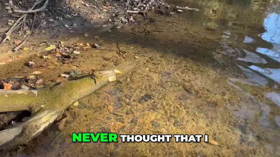 Creek Treasure Hunt: Finding Washington & Ancient Mysteries!