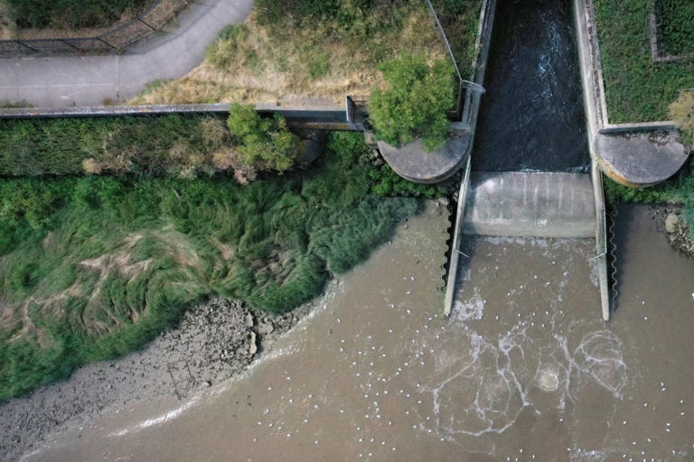 Serious water pollution incidents up by 60% in a year