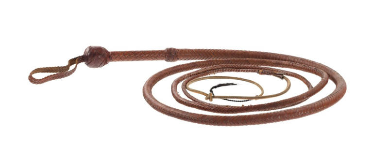Indiana Jones whip snaps up $525,000 at auction after ‘Citizen Kane ...