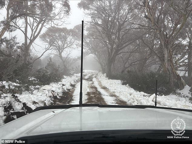 Sad update in search for missing pilot who crashed in the Snowy Mountains