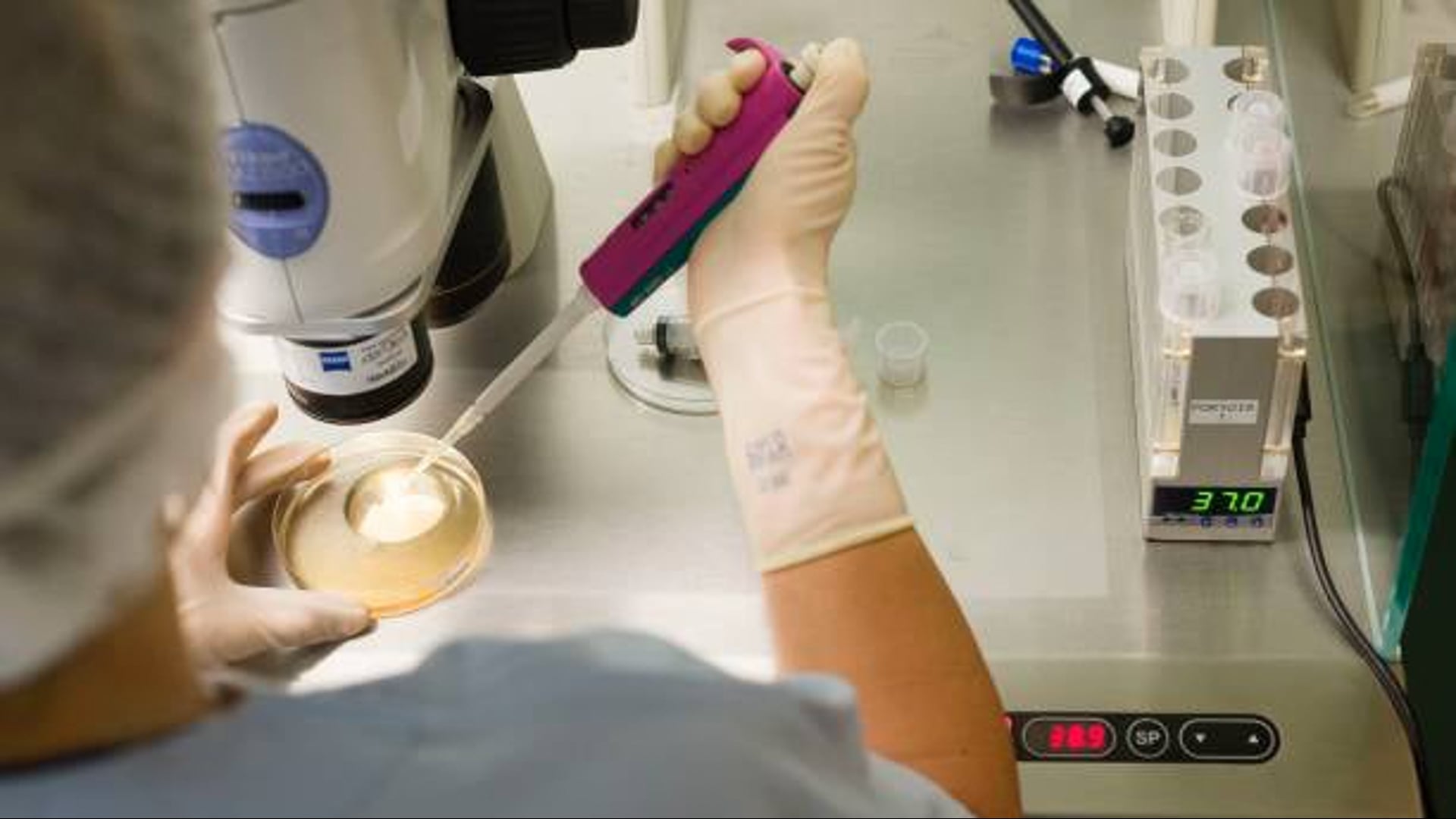 Nacen 8 Bebés En El Reino Unido Mediante La Técnica De FIV De Tres Personas