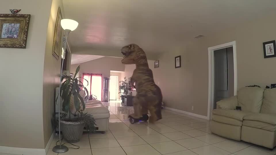 Dinosaur Riding a Segway