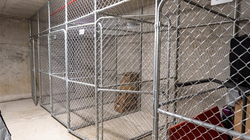 What are the rules for storage cages and shared garages in apartments?