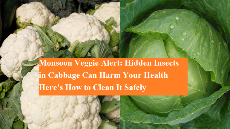 Monsoon Veggie Alert: Hidden Insects in Cabbage Can Harm Your Health ...