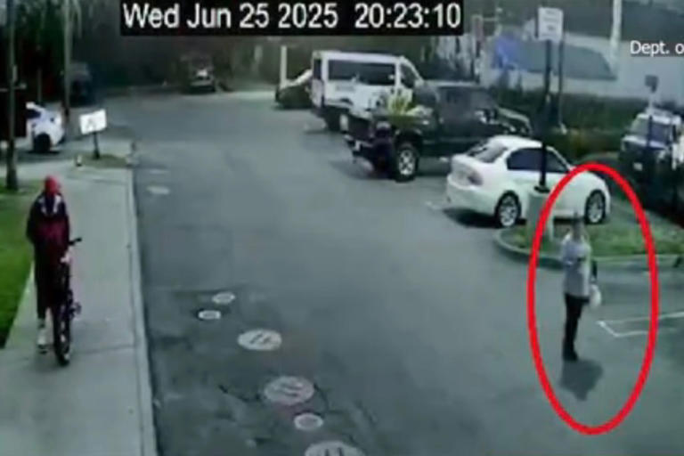 California illegal immigrant faked ICE ‘kidnapping’ at fast-food joint ...