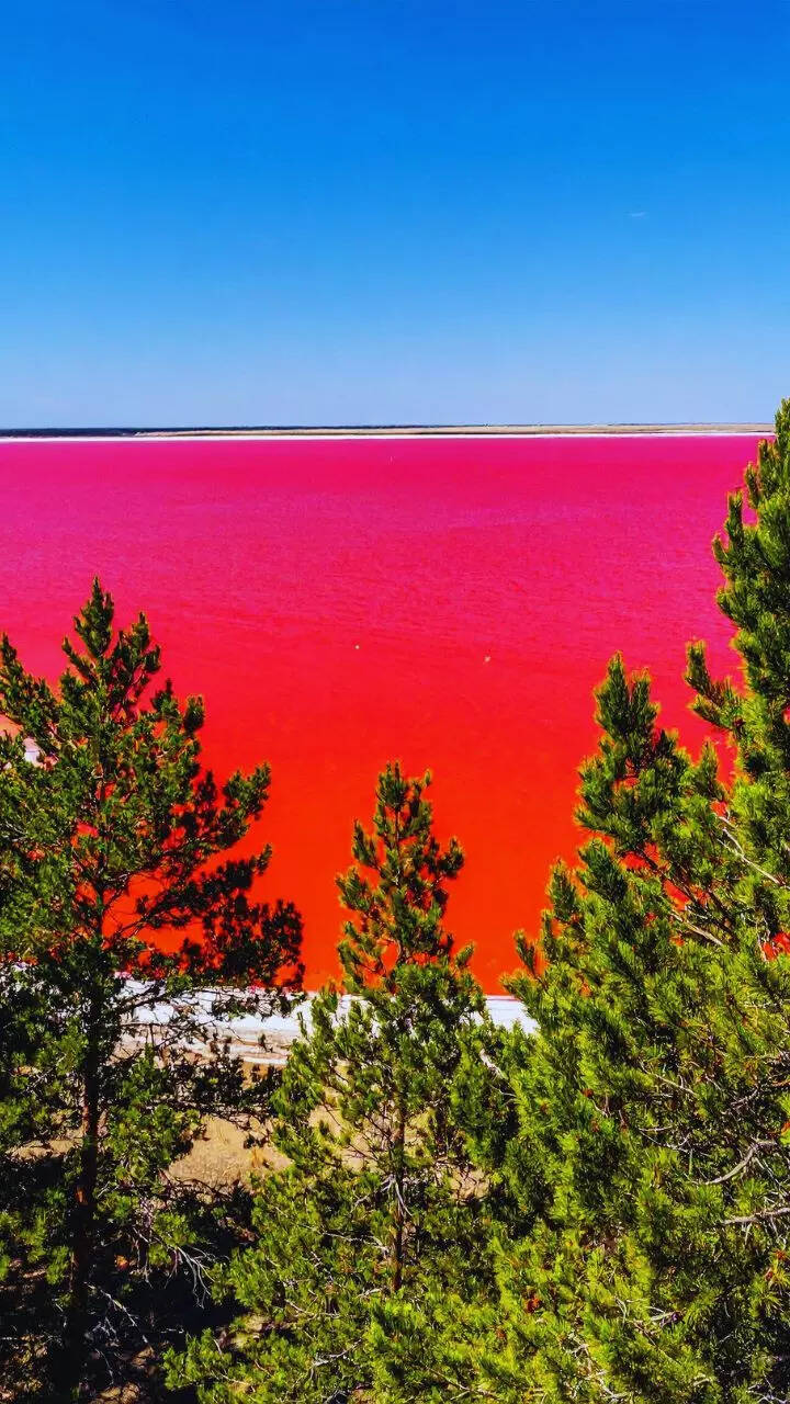 8 pink-coloured lakes you won’t believe exist on Earth (But They Do)