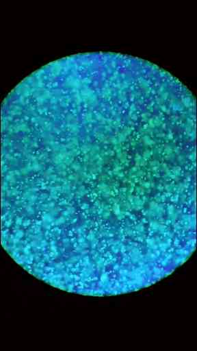 Glow-in-the-Dark Slime Under a Microscope