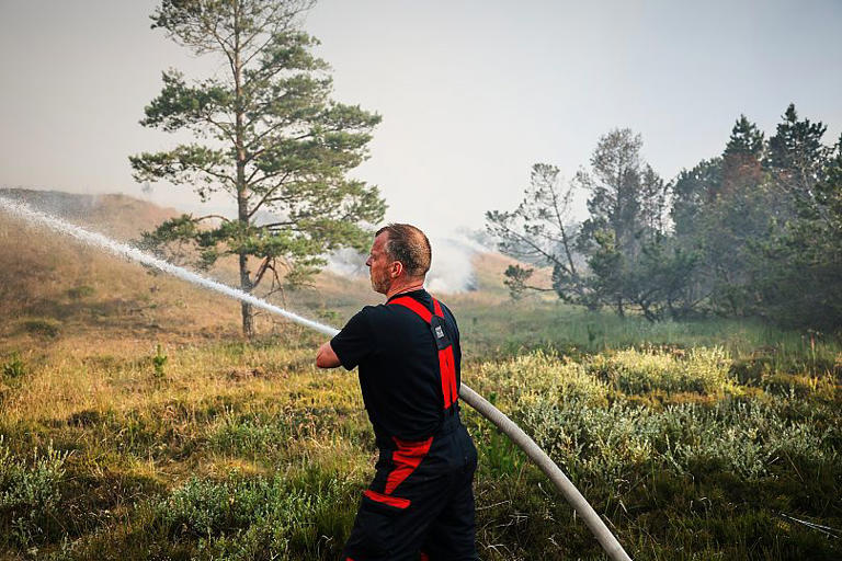 Wildfires in Europe burn area the size of Luxembourg as 2025 shapes up ...