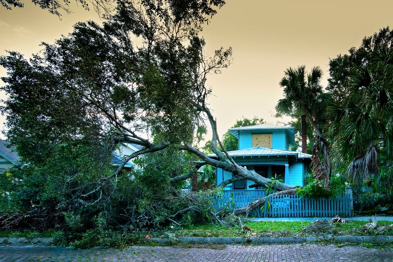 Florida and Gulf Coast on alert for potential hurricane as residents ...