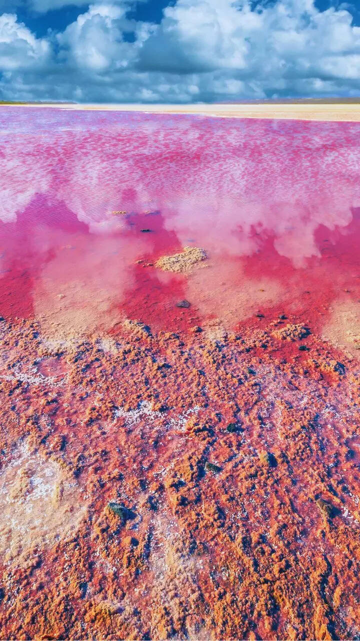8 pink-coloured lakes you won’t believe exist on Earth (But They Do)